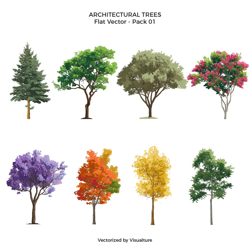 Flat Vector Architectural Trees - Pack 01 | Visualture